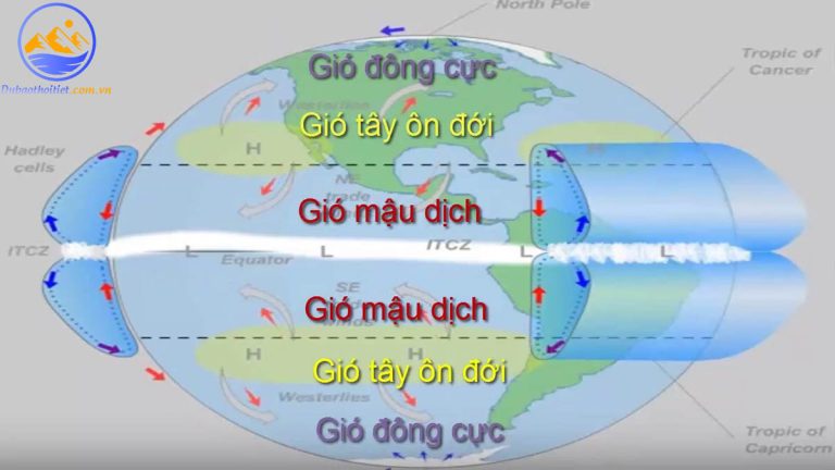 Gió Tây ôn đới là gì? Đặc điểm và các vai trò của gió ôn đới