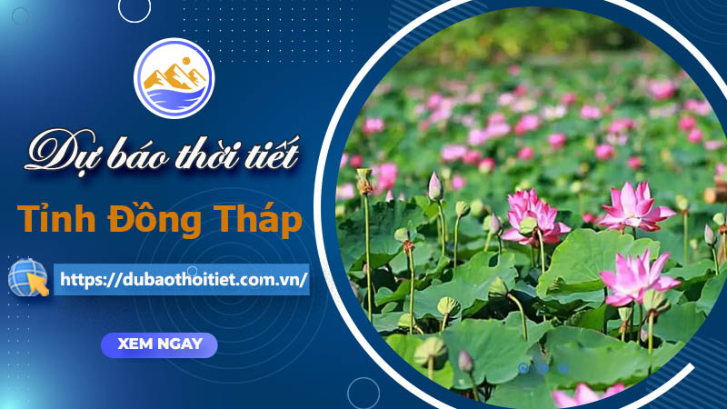 Thời tiết Đồng Tháp hôm nay, ngày mai và những ngày tới - Dự báo thời tiết