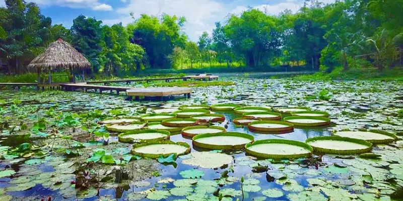 Thời tiết Đồng Tháp hôm nay, ngày mai và những ngày tới - Dự báo thời tiết